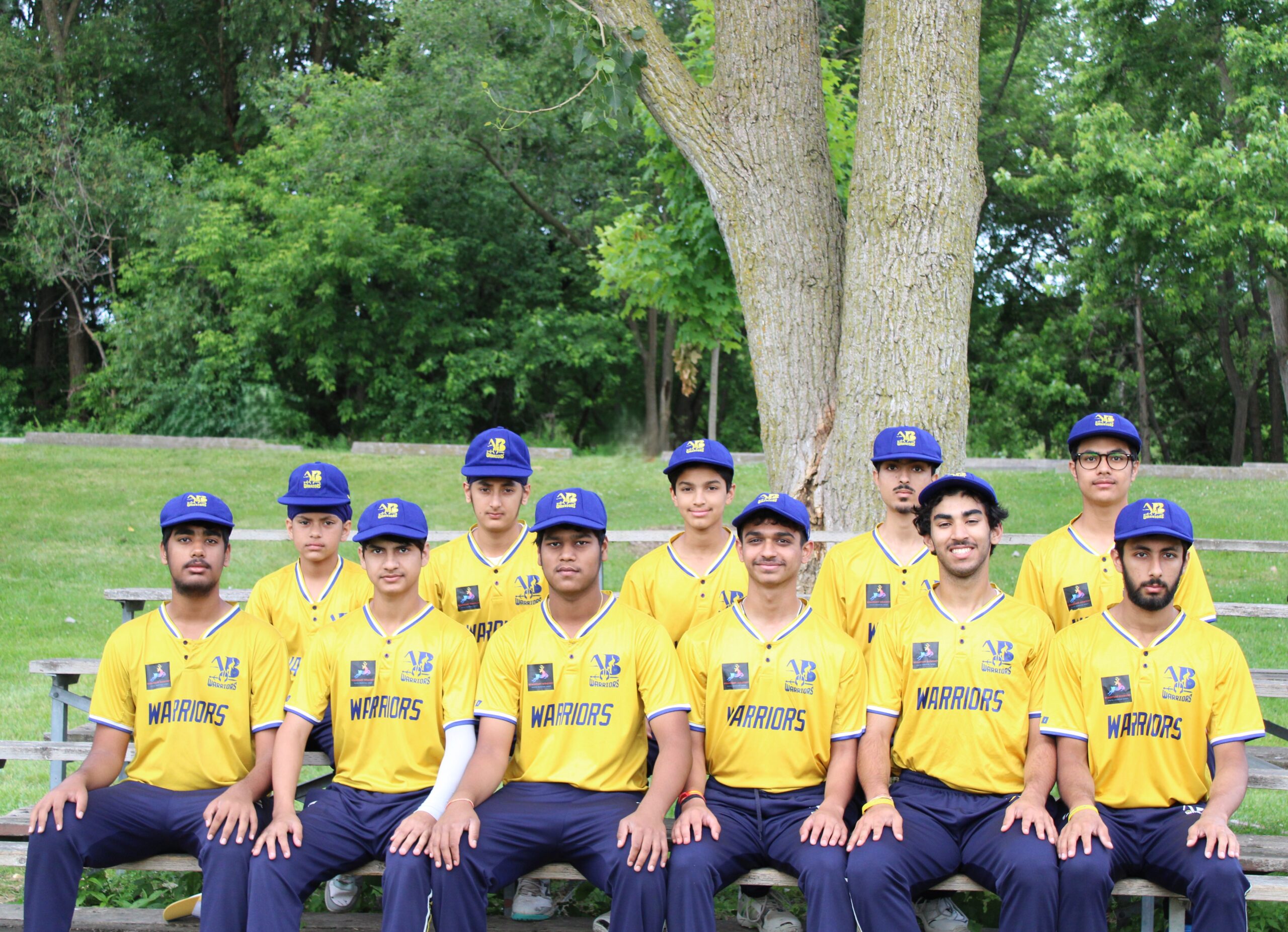 AB Warriors Cricket Club – Leading Cricket Academy in Ontario for All ...