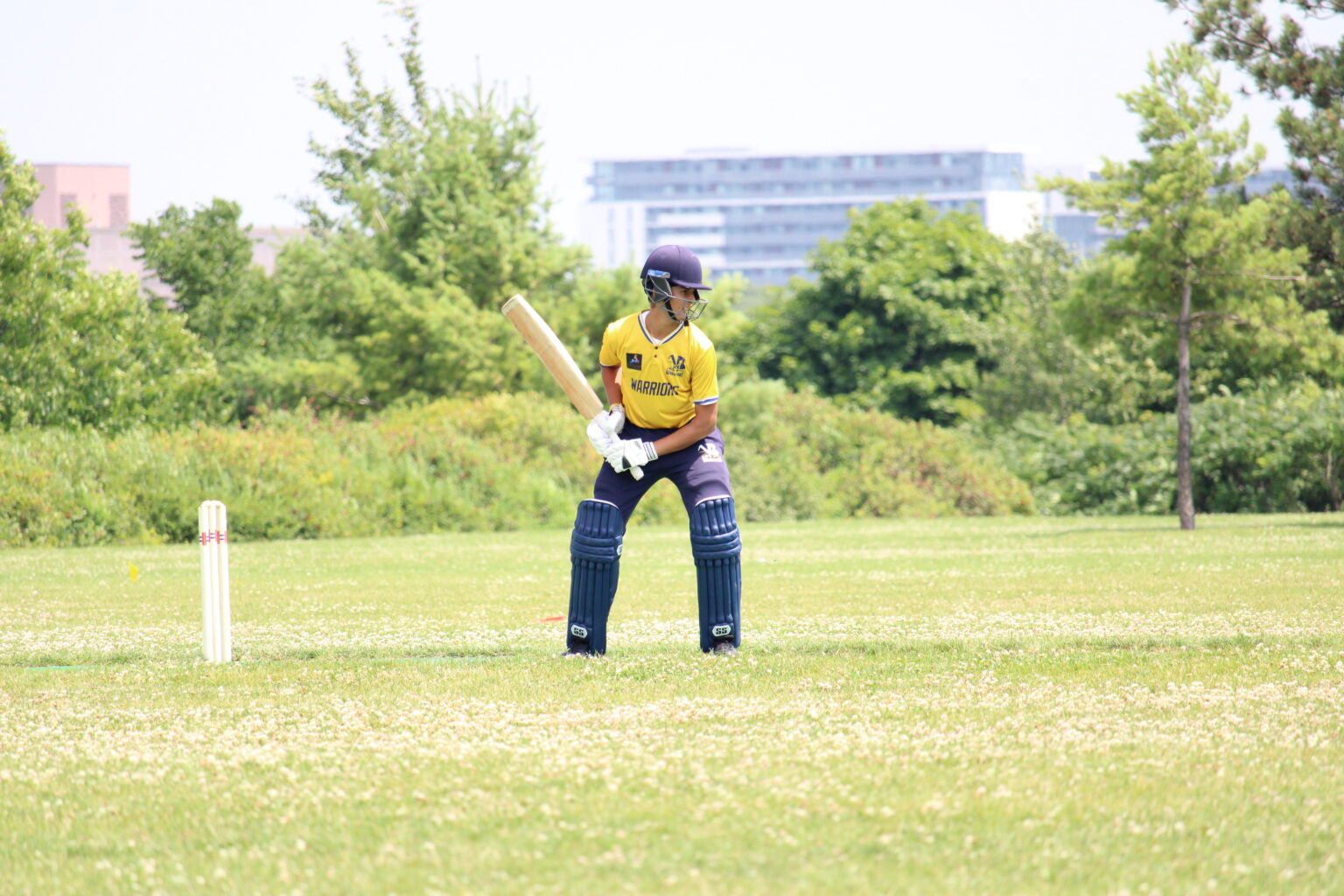 AB Warriors Cricket Club – Leading Cricket Academy in Ontario for All ...