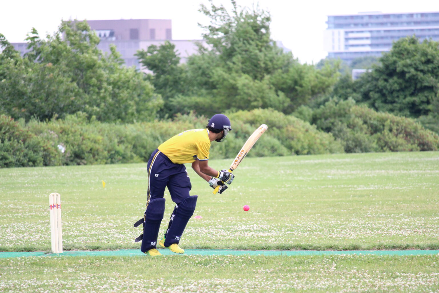 AB Warriors Cricket Club – Leading Cricket Academy in Ontario for All ...